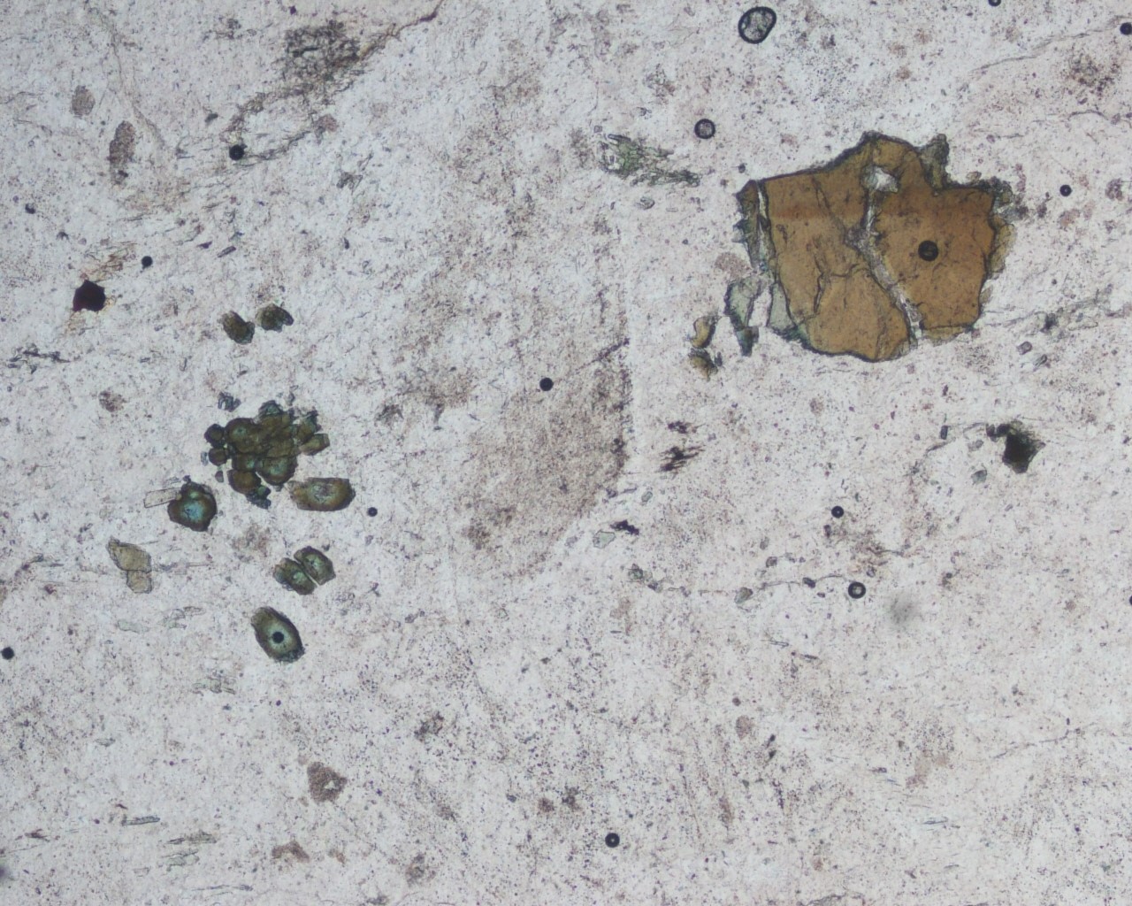 Teknik Geologi ITB » Meta Sandstone – Location 5