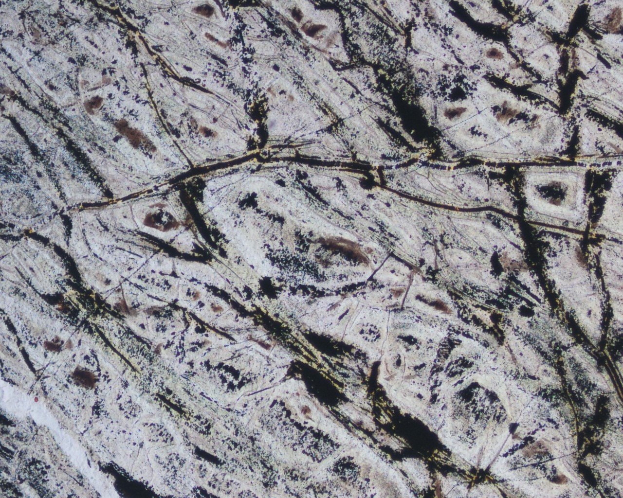 Teknik Geologi ITB » Foliated Serpentinite – Location 9