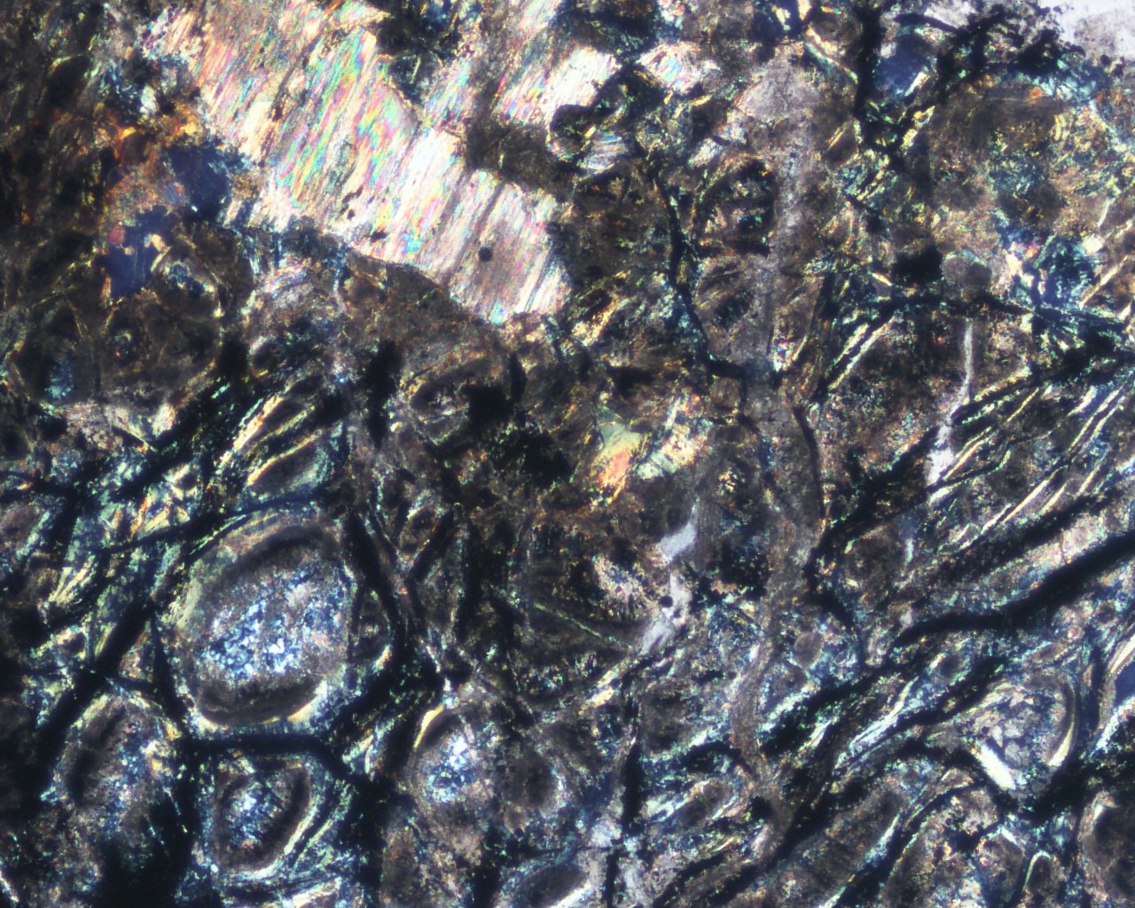 Teknik Geologi ITB » Brecciated Serpentinite – Location 17